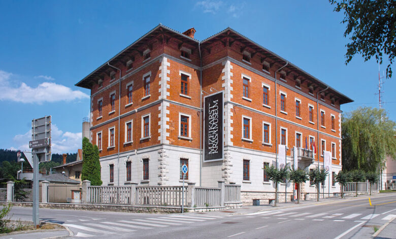 Zgodbe Notranjskega muzeja: Predjamski zaklad, stepski bizon, Betalov ...