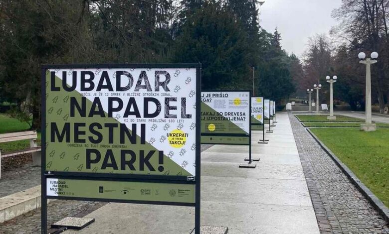 V mariborskem Mestnem parku bodo zaradi lubadarja podrli 40 smrek – Megafon